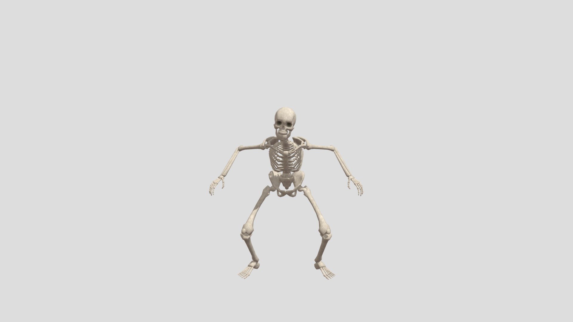 Skeleton for Unity - 3D model by Sigmoid Button Assets (@sigmoidbutton ...