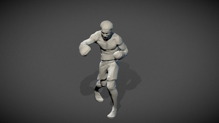 Boxer 3D models - Sketchfab
