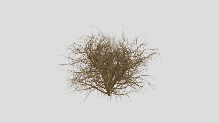 Tumbleweed 3D models - Sketchfab