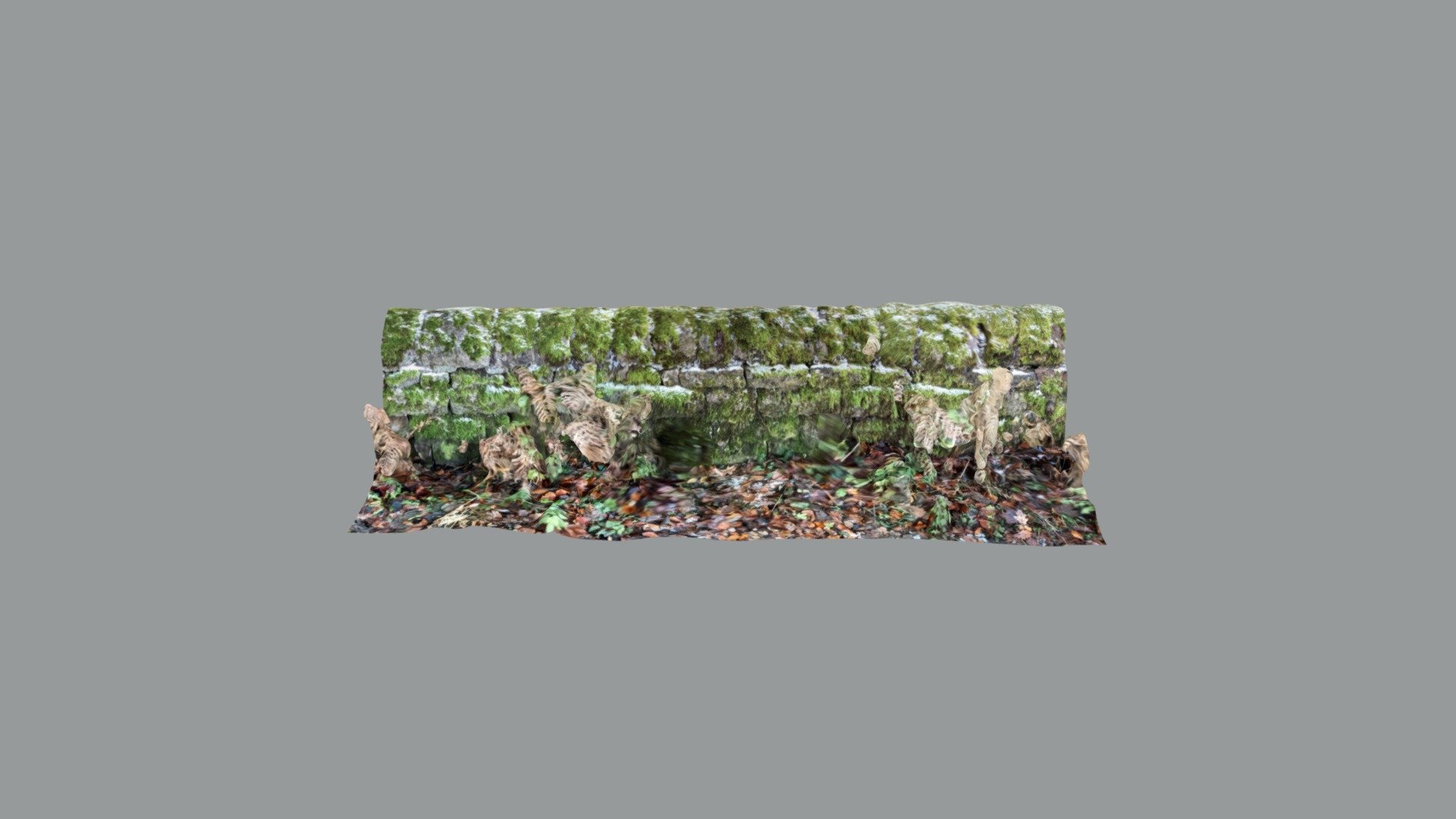 Mossy wall - Download Free 3D model by hdsn [831e73f] - Sketchfab