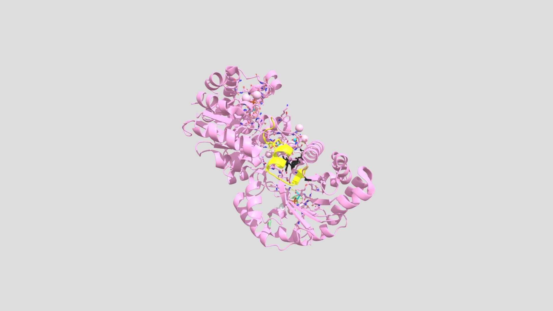 PfTIM Model (BIOL244) - 3D model by paigecull [832370d] - Sketchfab