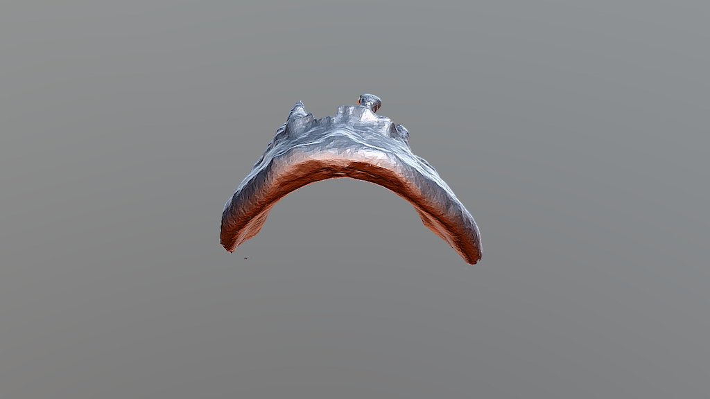 3D Mandible Model - 3D model by danielleschaf [8325542] - Sketchfab