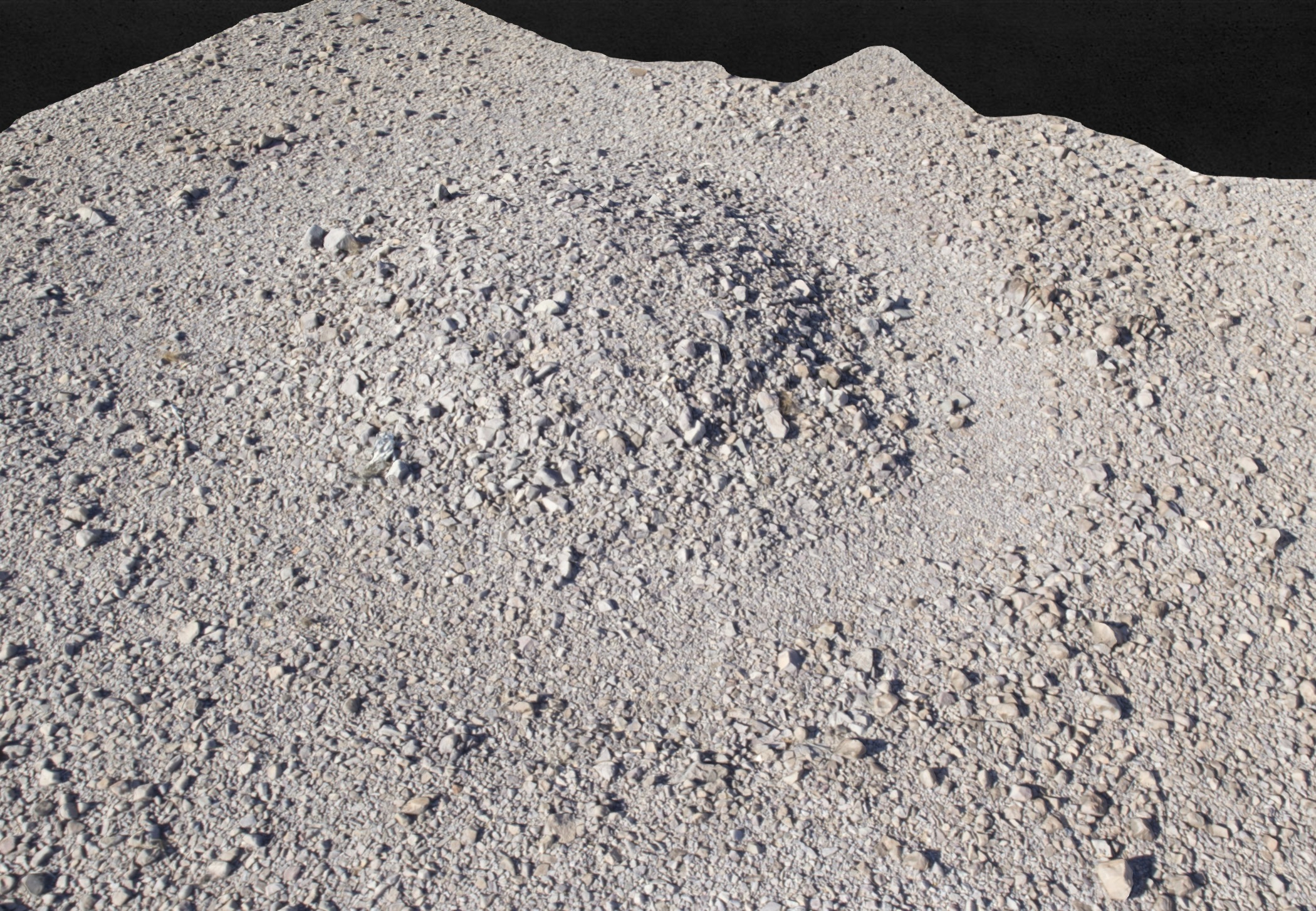 Central Arizona Intaglio - 3D model by PaleoWest [8325e67] - Sketchfab