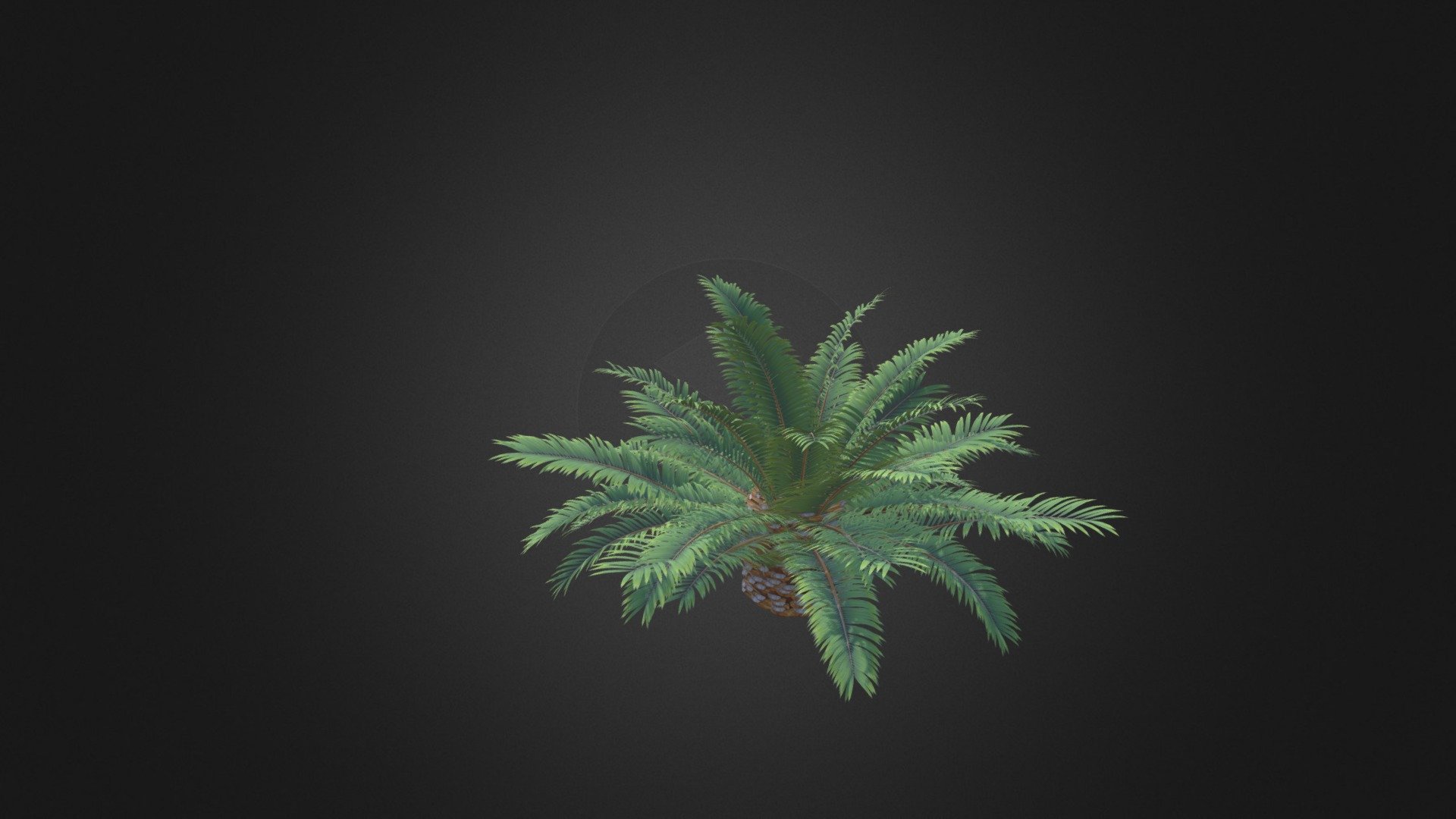 Queen Sago Plant - Buy Royalty Free 3D model by cgaxis [8328008 ...