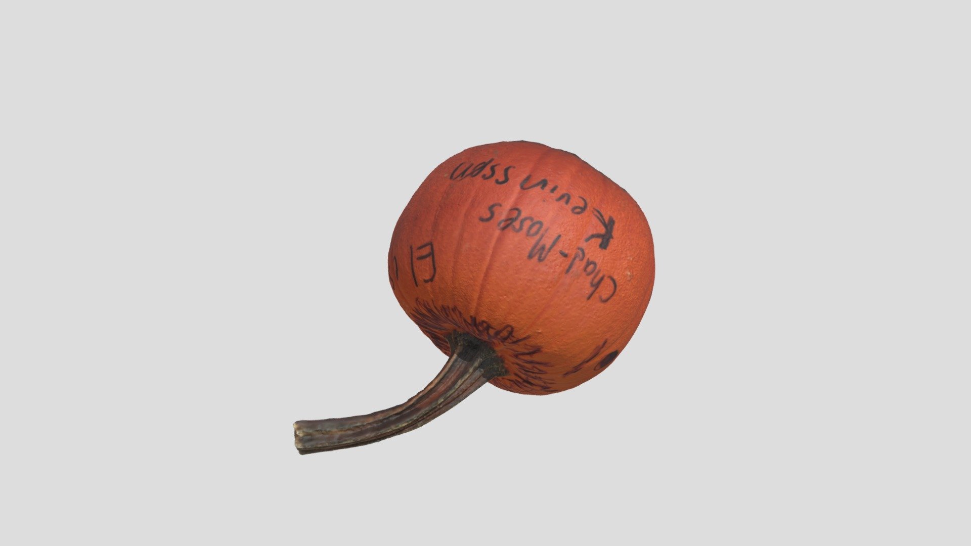 Jiasheng Shi Chad-Moses Pumpkin ENGRI A3 - 3D model by Jiasheng_Shi ...