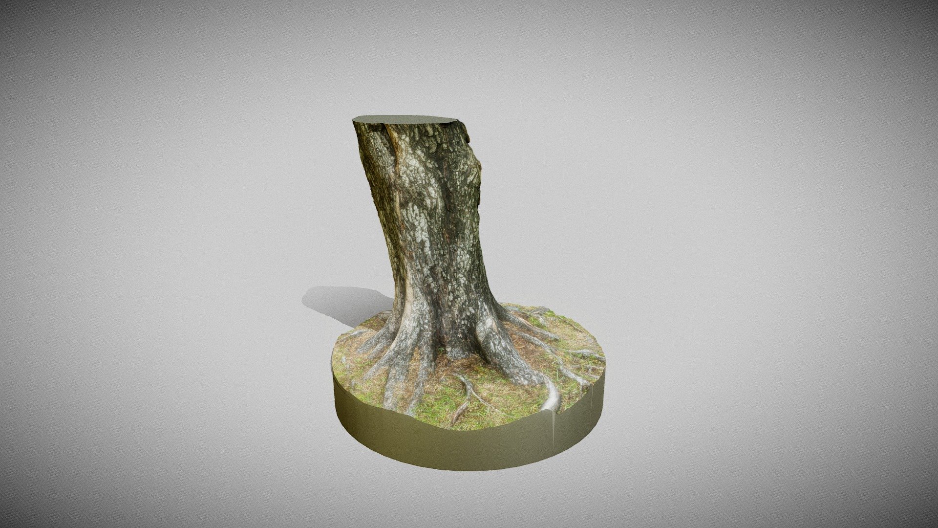 3D scan tree trunk - Buy Royalty Free 3D model by Jerome (dijix009 ...