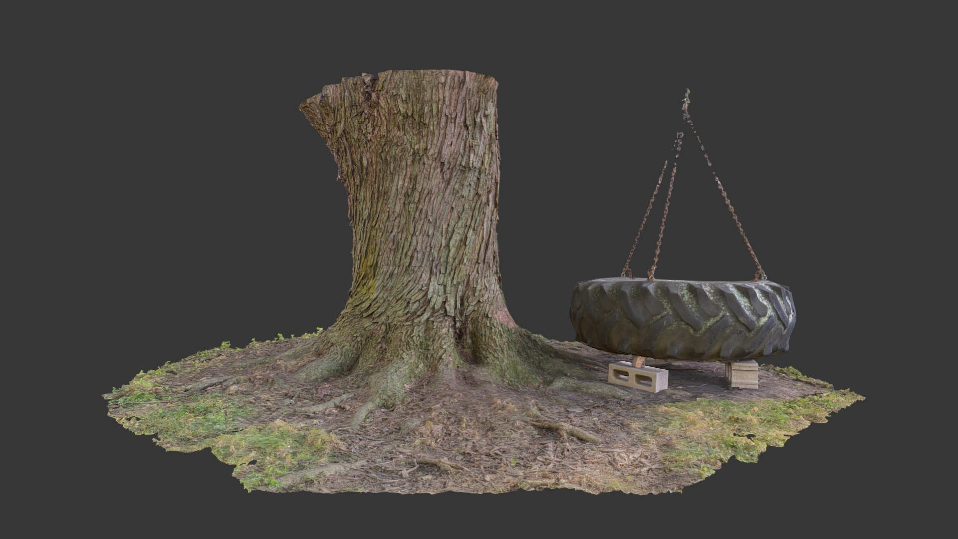 PMP: Tree Trunk & Tractor Tire (V.1) - 3D model by Advanced ...