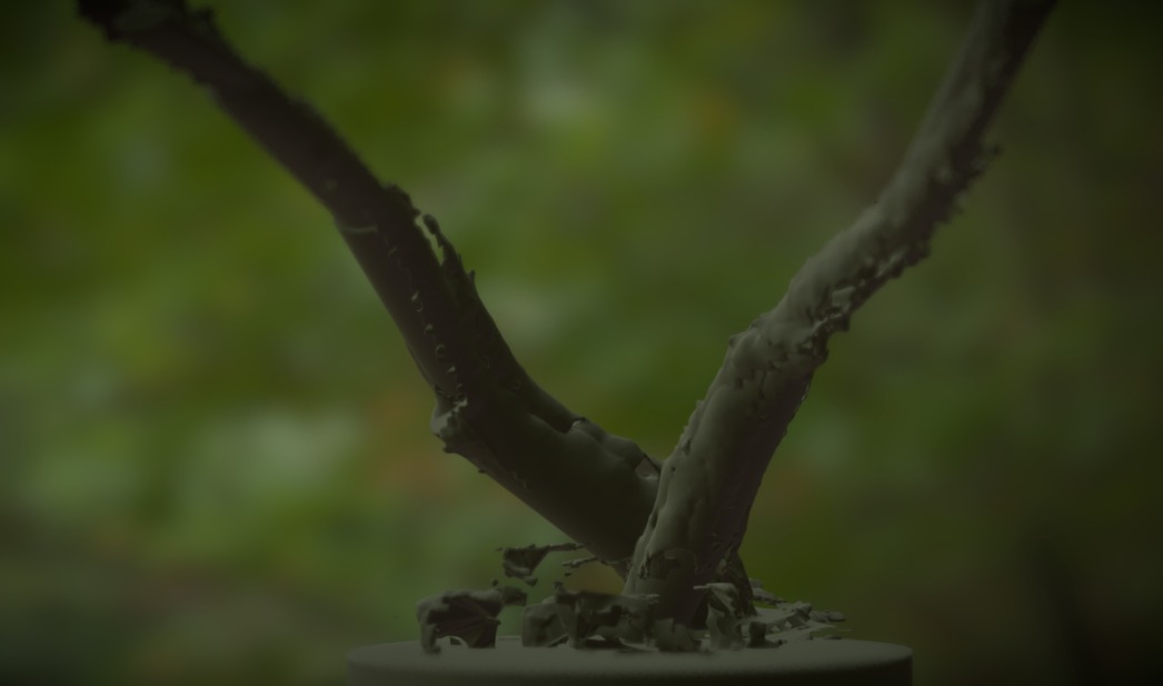 Leaning Tree from Kasetsart University - Download Free 3D model by ...