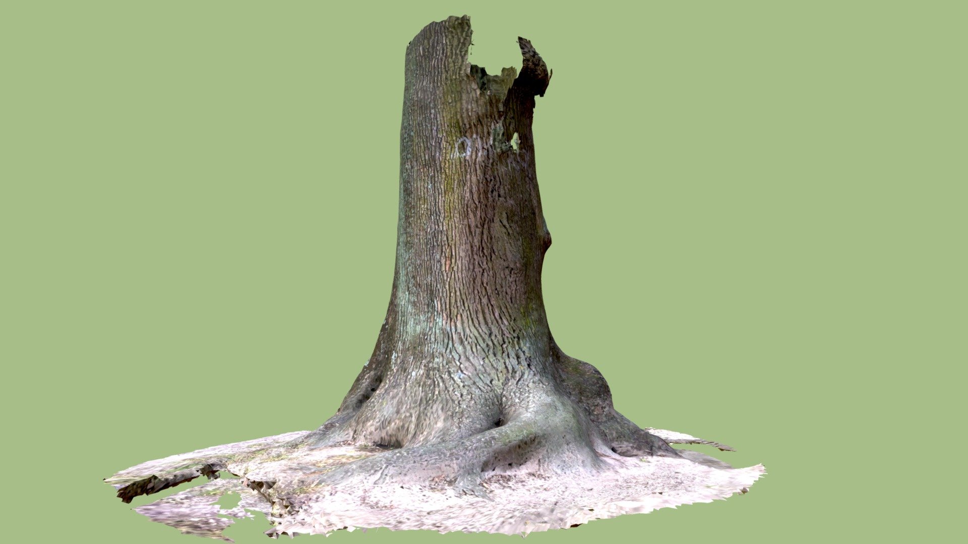 Realistic Tree Trunk Scan Lidar Download Free 3d Model By Julienscans