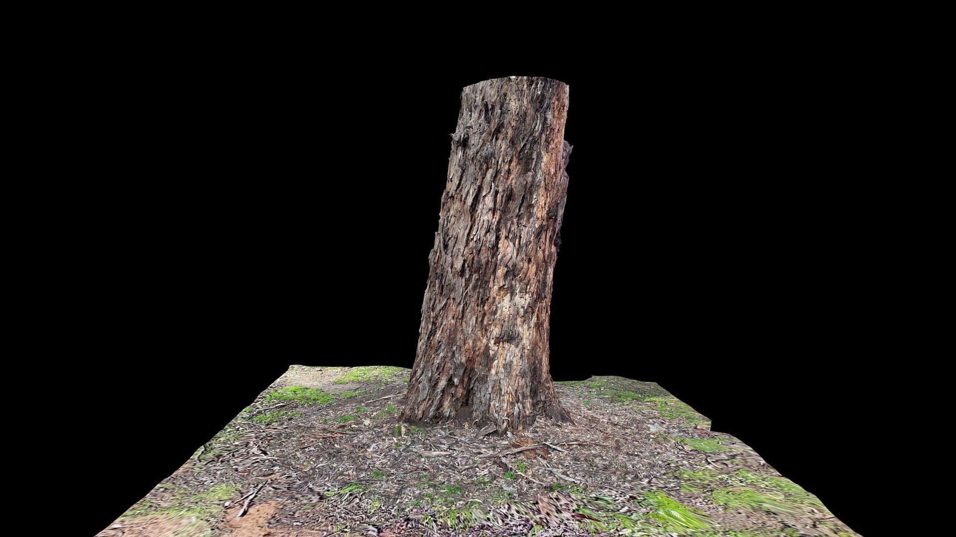 Tree Trunk - 3D model by Andrei Alexandrescu (@Andrei_Alexandrescu ...