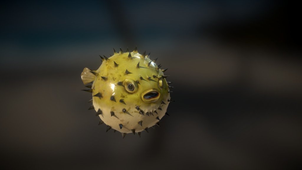 Blowfish - 3D model by mobycompany [833ab35] - Sketchfab