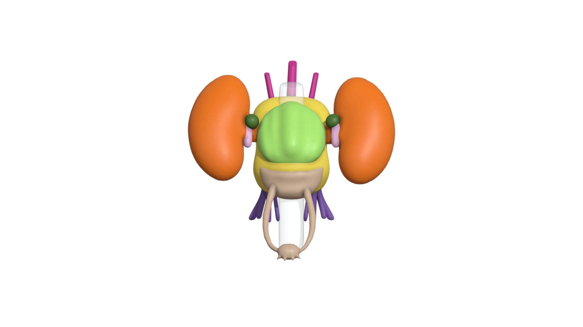 The Octopus Brain - 3D model by University of Dundee, CAHID (@anatomy ...