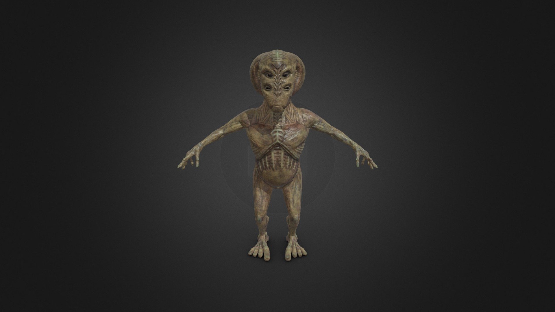 Alien - 3D model by Aitrik [833fbd2] - Sketchfab