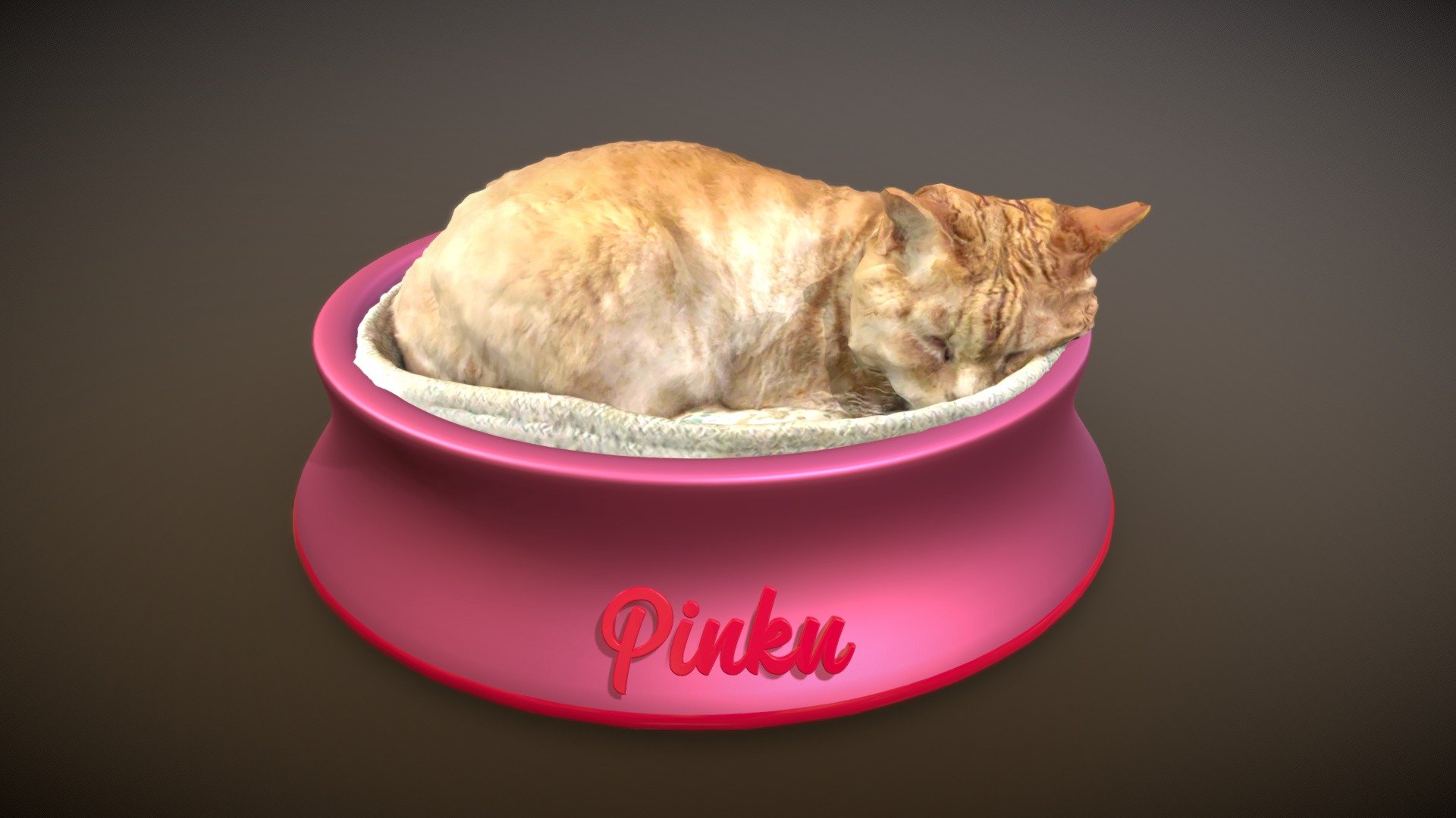 Sleeping Cat - Download Free 3D model by Chaitanya Krishnan ...