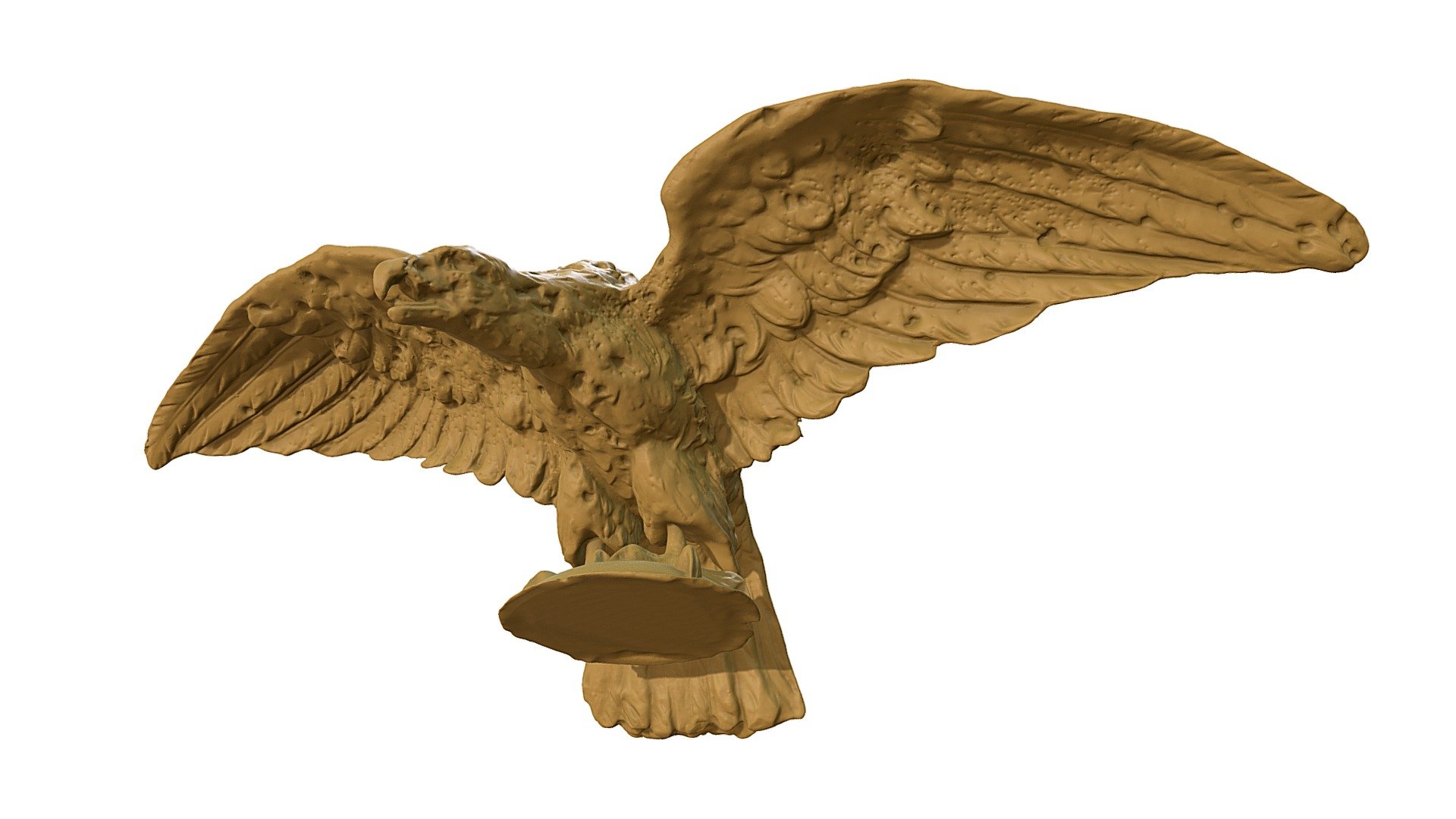 Vandalized Copper Eagle - 3D model by University of South Florida ...