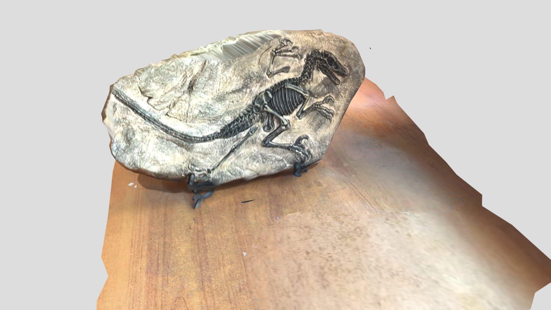 Dinosaur fossil - 3D model by UGScan [835c599] - Sketchfab