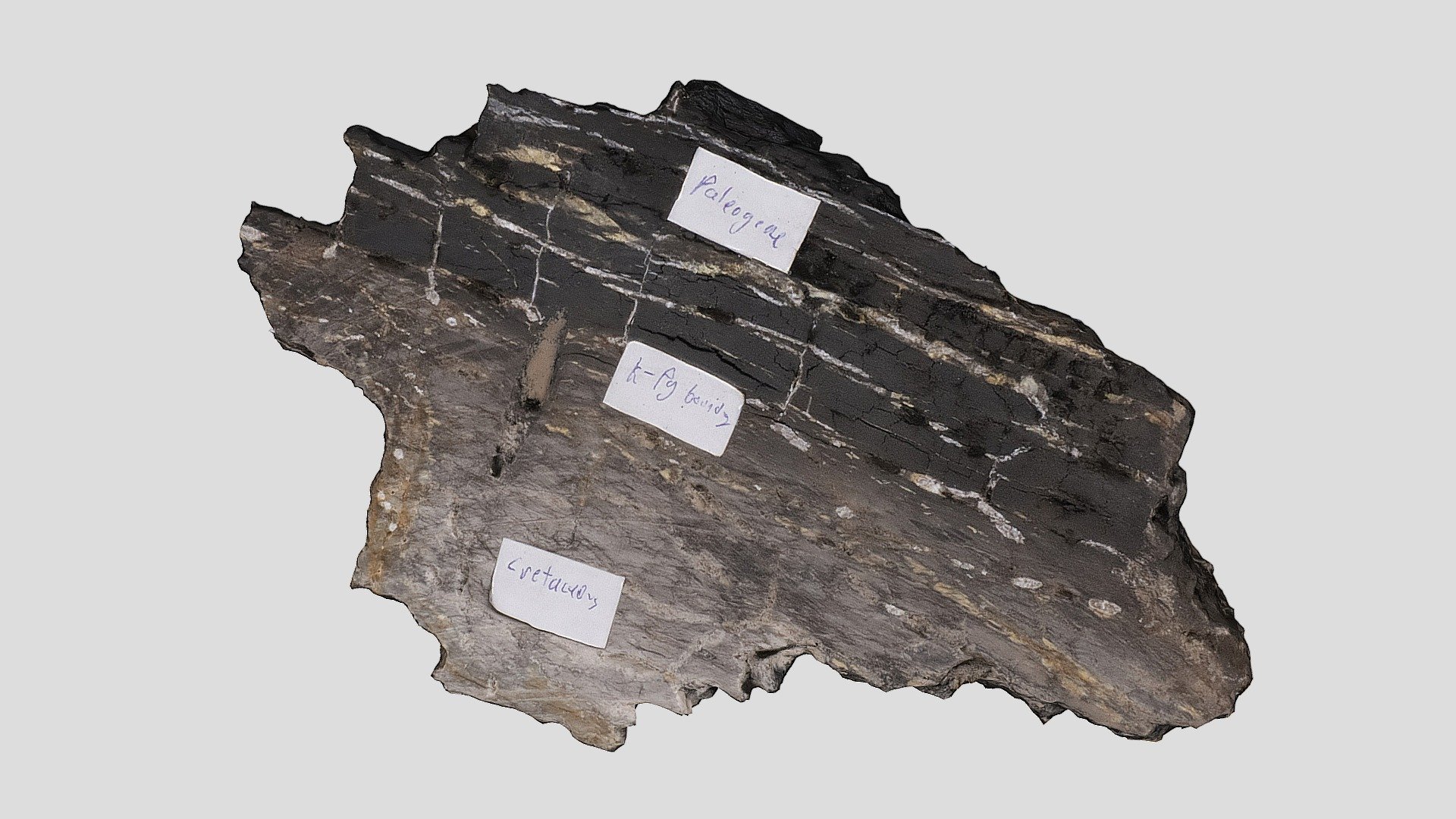 Ep. #65 K-Pg Boundary Shale - Download Free 3D model by mnaglak ...