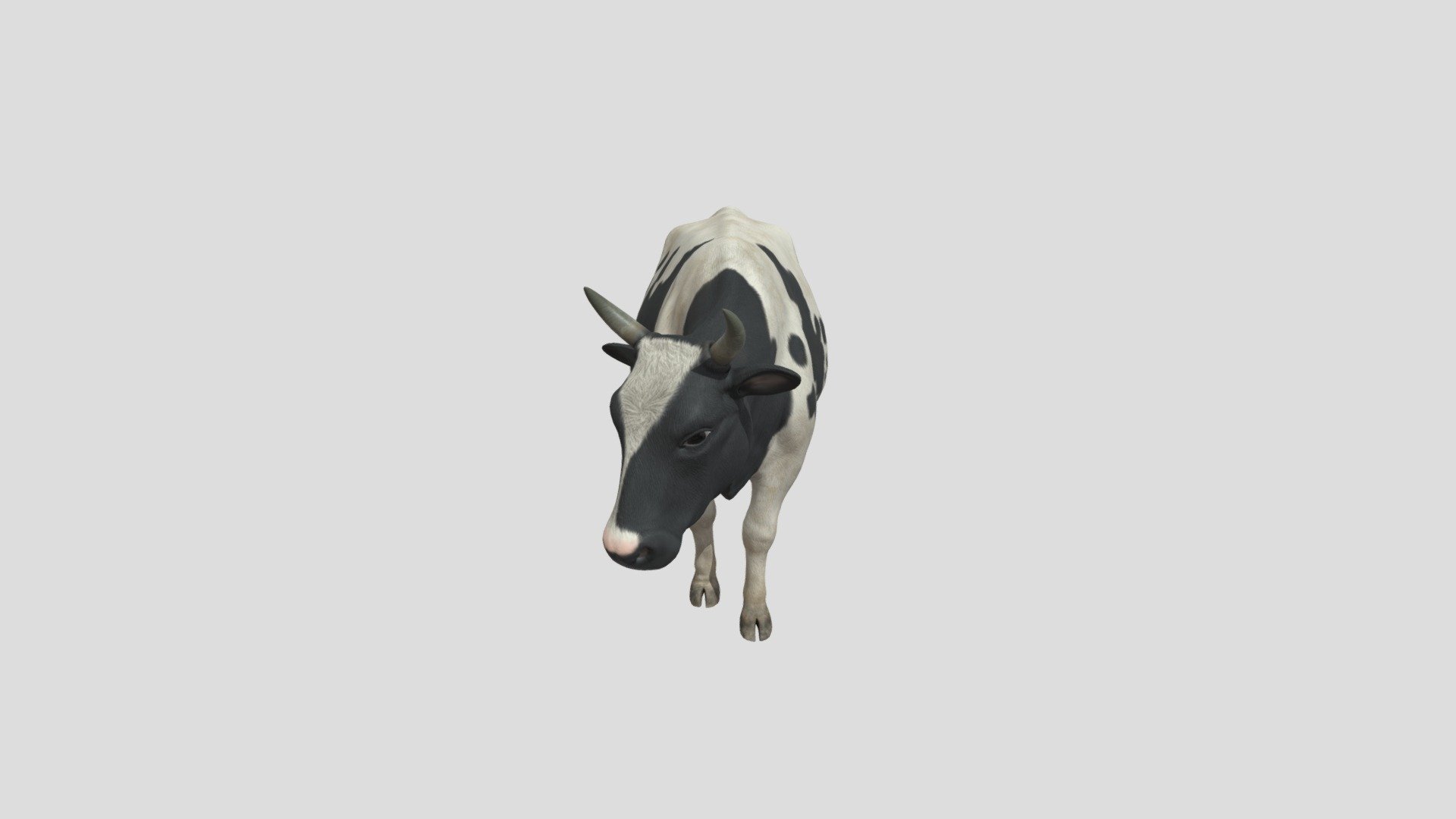 Cow - 3D model by dhiren-sah [83682ae] - Sketchfab