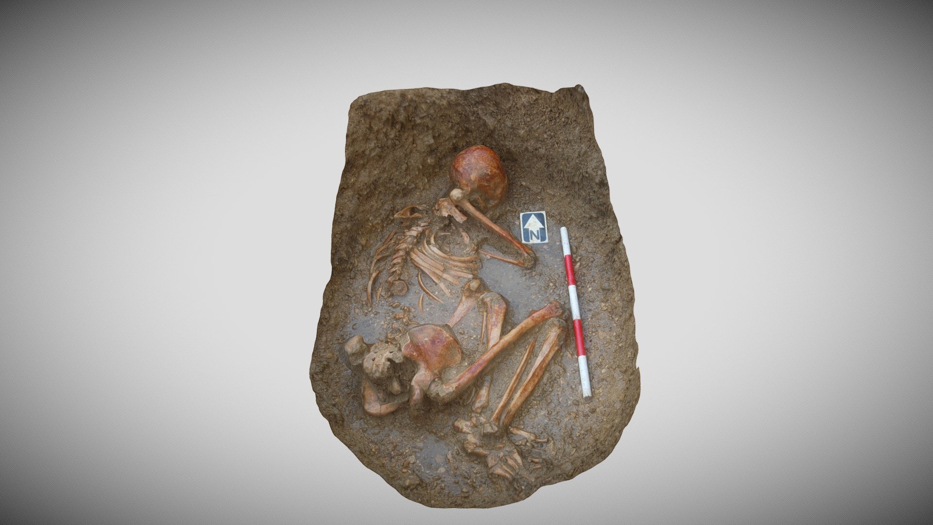 Crouched Burial Simplified 3d Mesh - 3D model by tcornah [836c594 ...