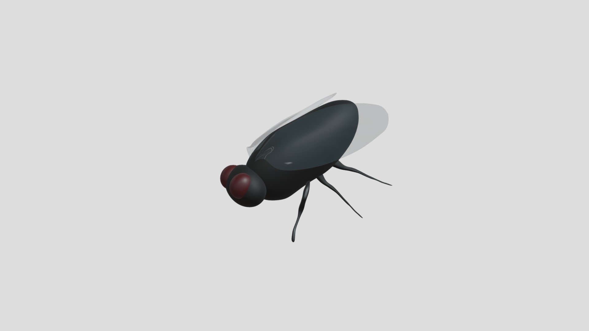 fly - 3D model by hyarmaite [8378fbc] - Sketchfab