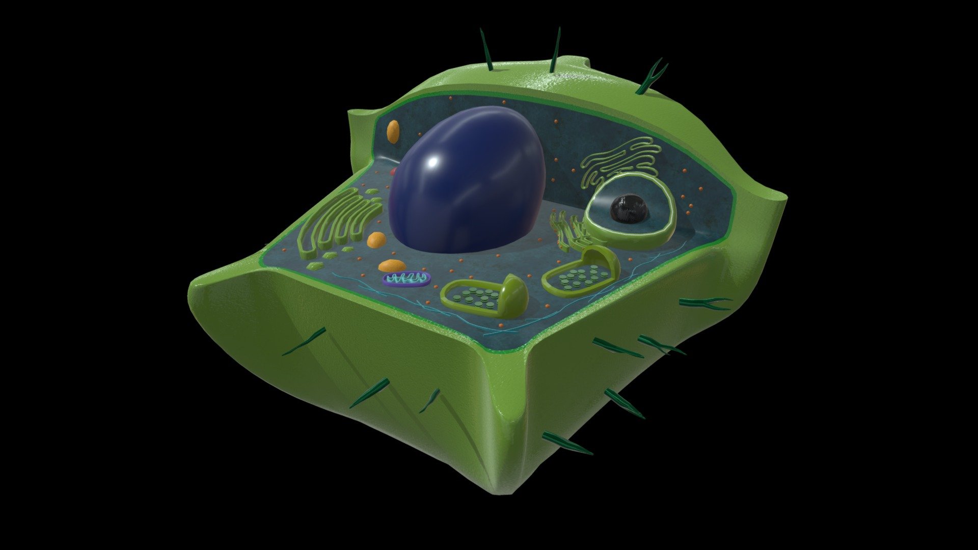 Plant Cell - 3D model by University of New England - Archaeology ...