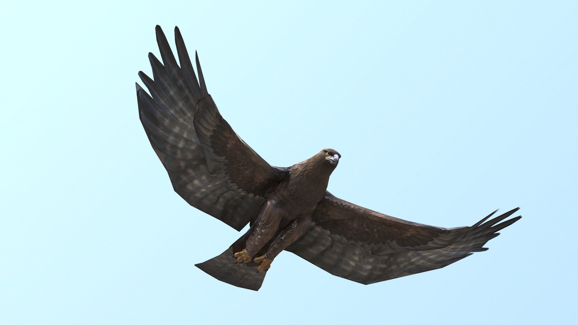 Eagle Fly Animation - 3D model by monstermod [838e0db] - Sketchfab