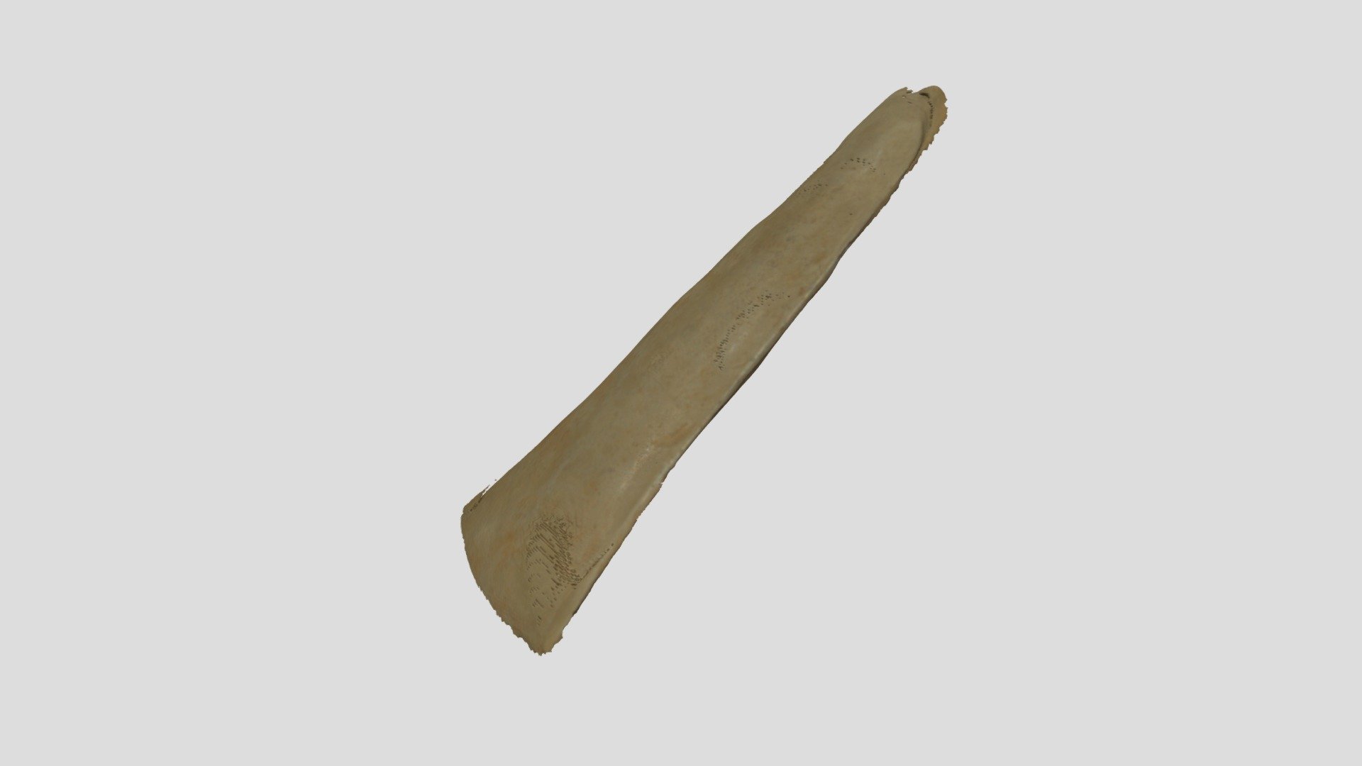Bell Shaped Celt Axe Head - 3D model by mxrlabosu [838fe7c] - Sketchfab