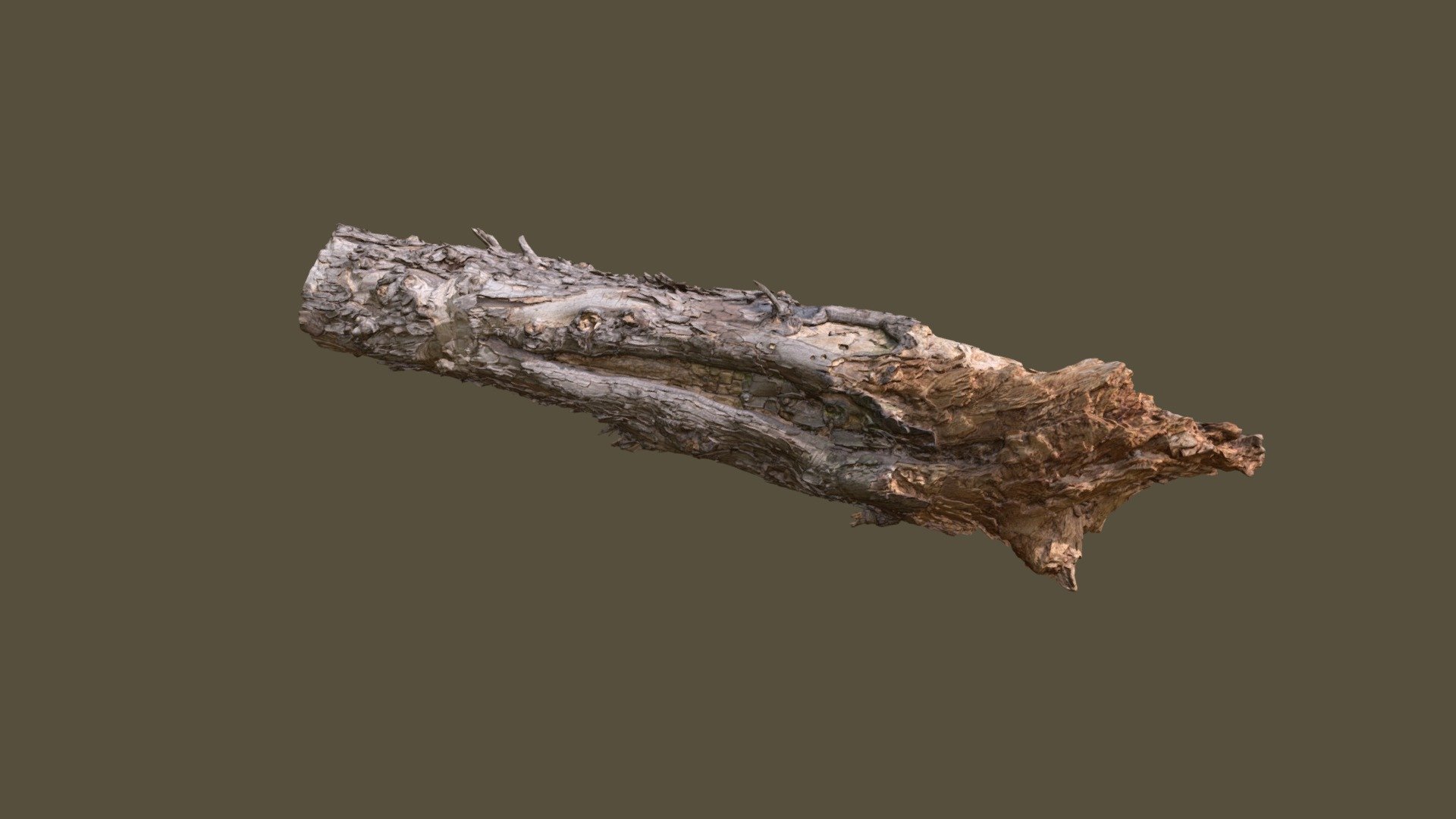 Big Old Log obj - 3D model by LisevichRuslan [839ddc2] - Sketchfab