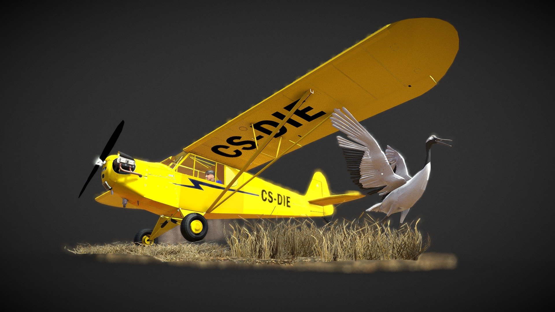 PIPER CUB CS-DIE - Buy Royalty Free 3D model by byrikardo3D (@byrikardo ...