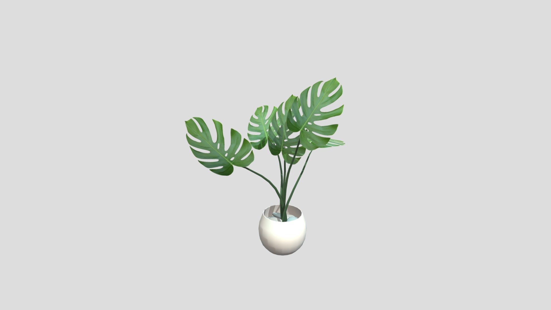 Mini Plant - 3D model by thee.luadthai [83a164f] - Sketchfab