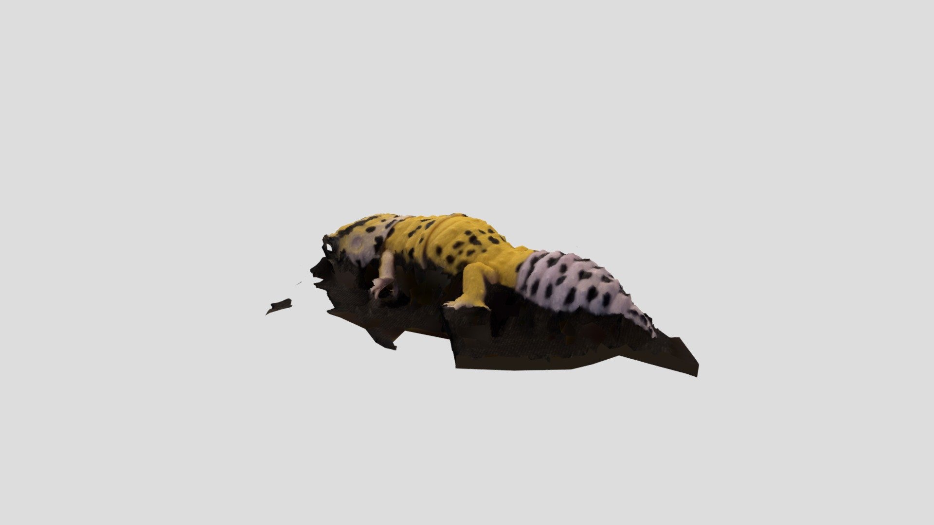 Scan 2022-12-02T02:14:01.640Z - Download Free 3D model by nozk [83a72ff ...