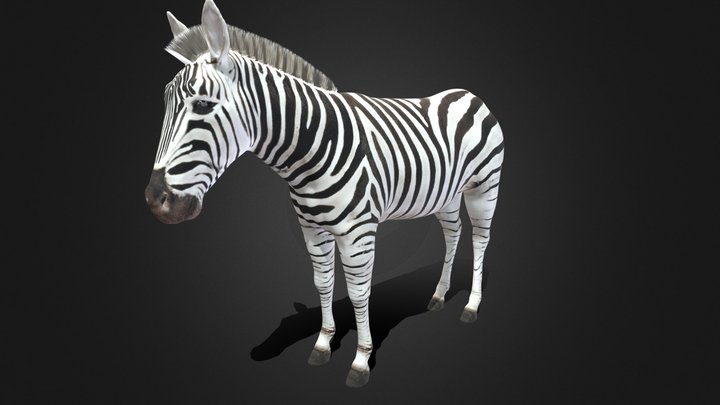 Zebra 3D models - Sketchfab