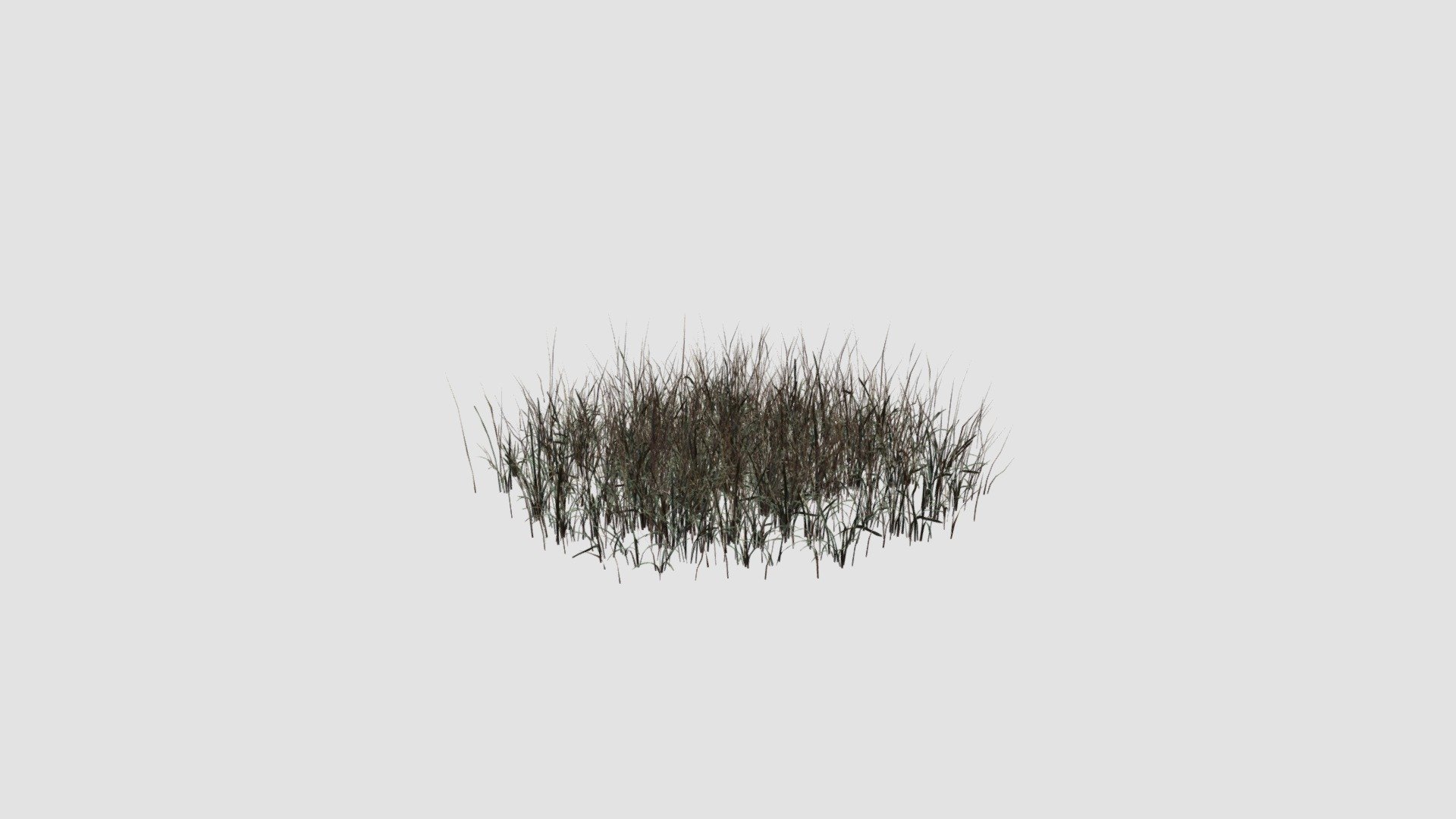 simple grass large - Buy Royalty Free 3D model by Evermotion [83ba790 ...
