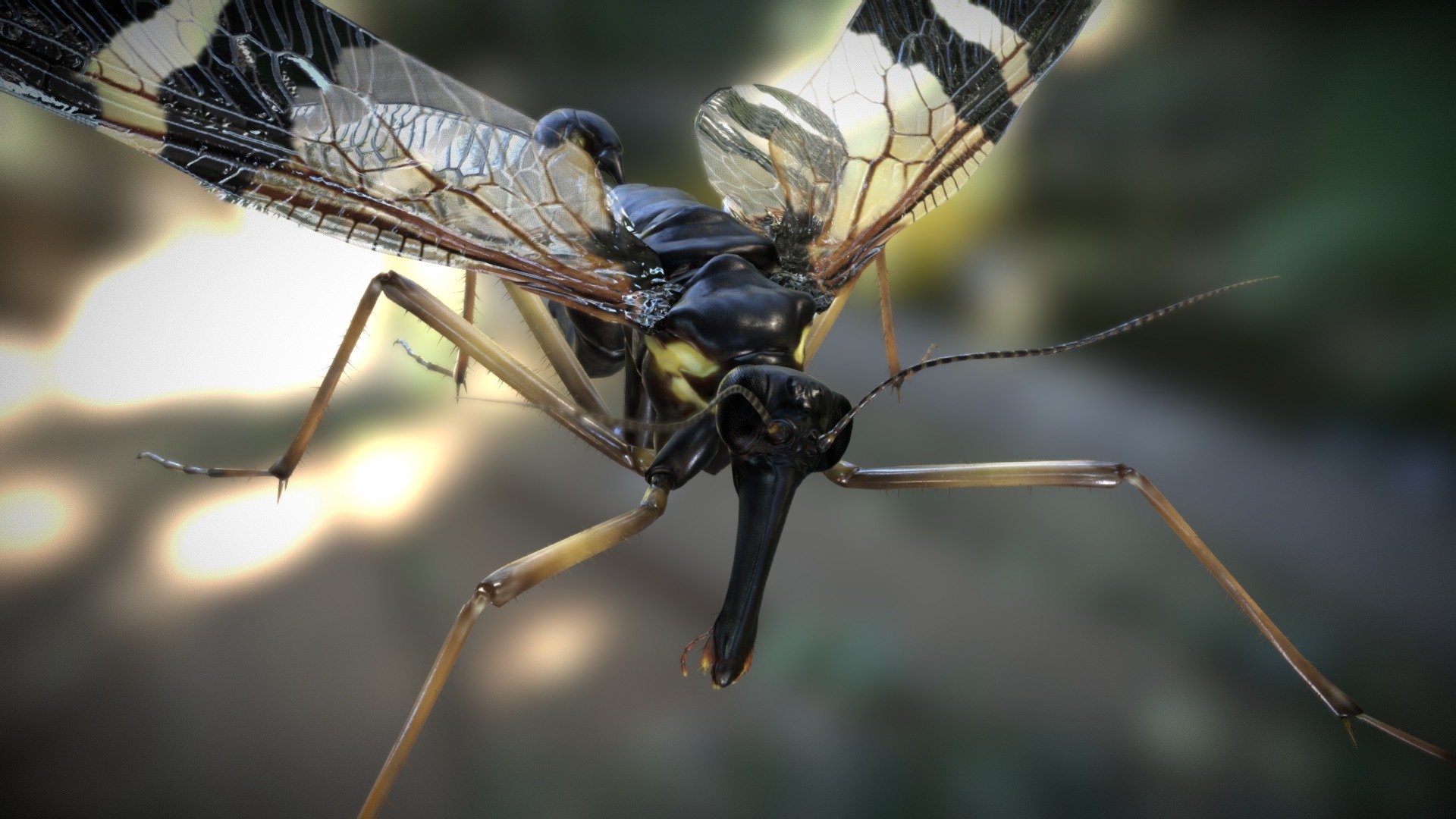 Mecoptera-Scorpion Fly - Buy Royalty Free 3D model by Boycraft [83c07f7 ...