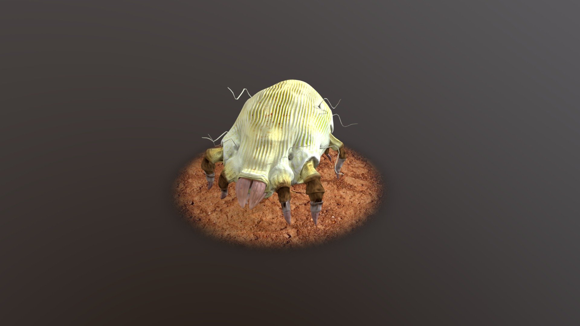 Dust Mite - 3D model by tashtego [83c1c91] - Sketchfab