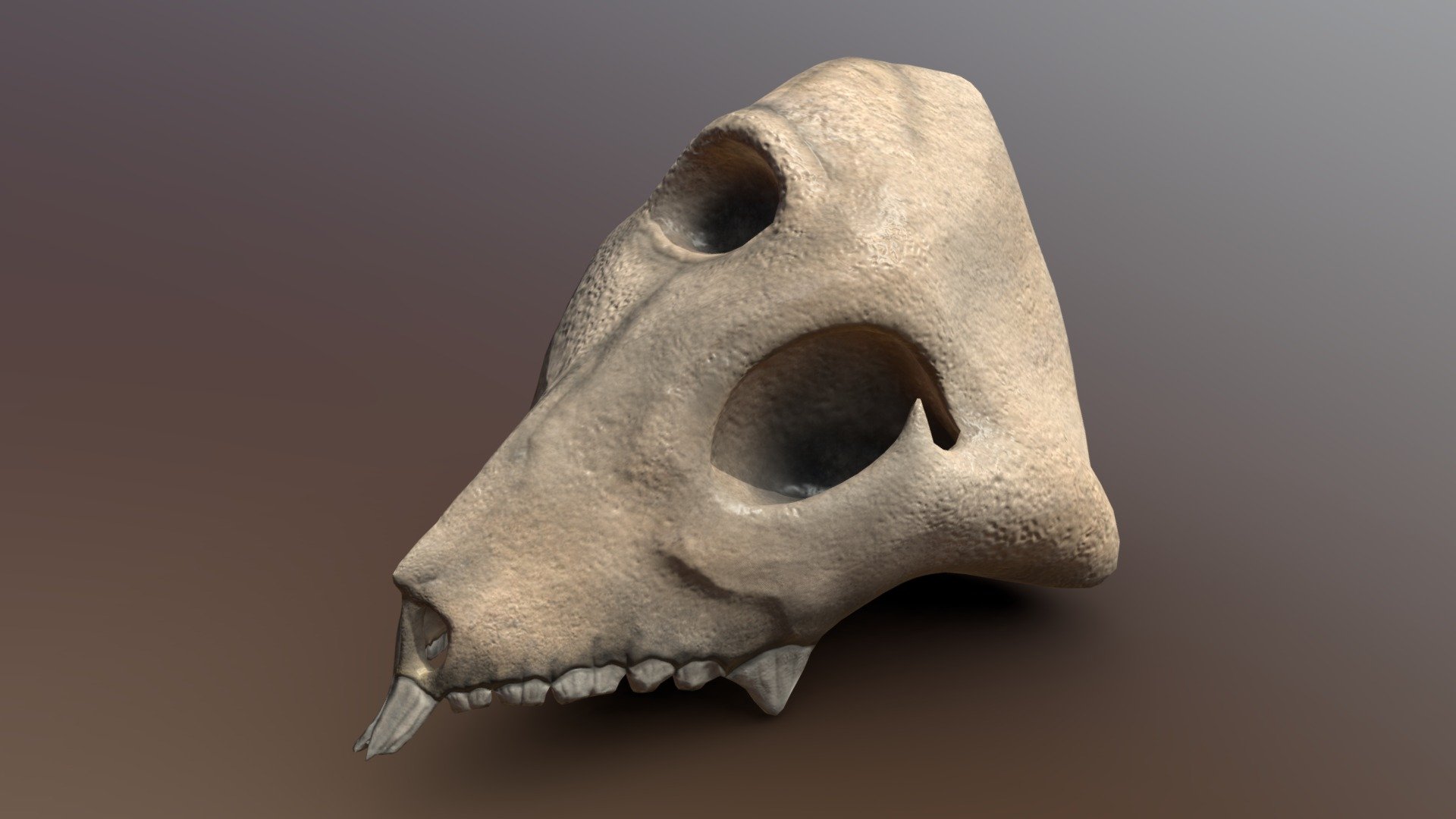 Troll Skull - 3D model by PhiMue [83c21c3] - Sketchfab