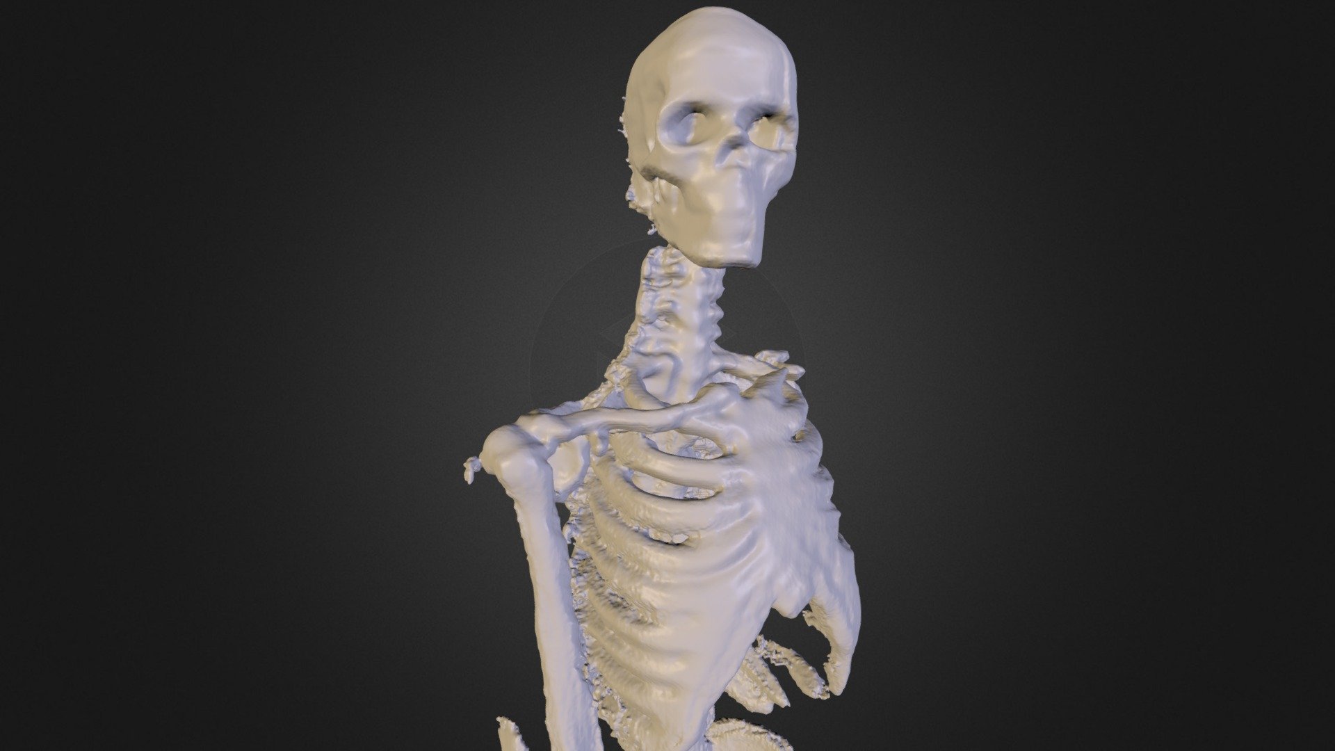 Skeleton - 3D model by Owl Creek Technologies (@mebalzer) [83c2abe ...