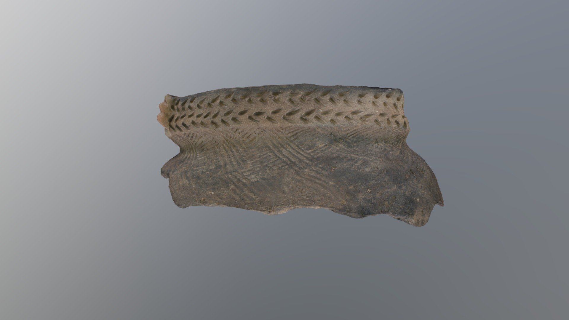 Pisgah Rim Sherd - 3D model by Warren Wilson College Archaeology Lab ...