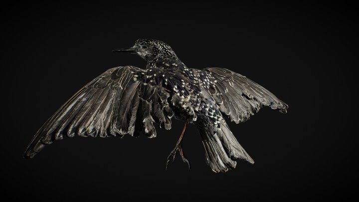 Dead 3D models - Sketchfab