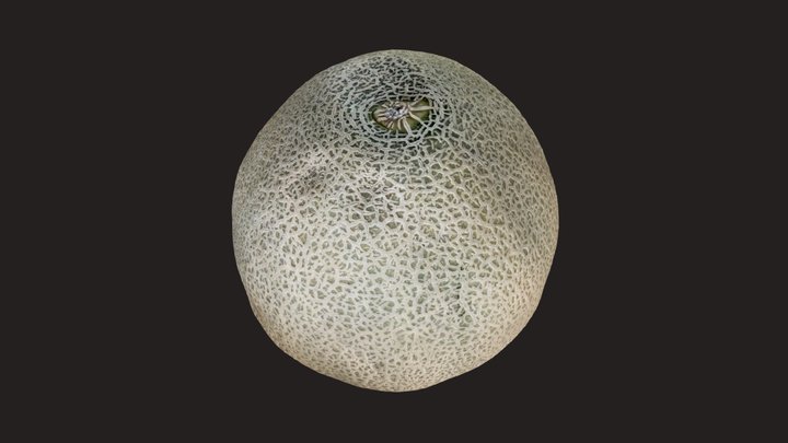 Melon 3D models - Sketchfab