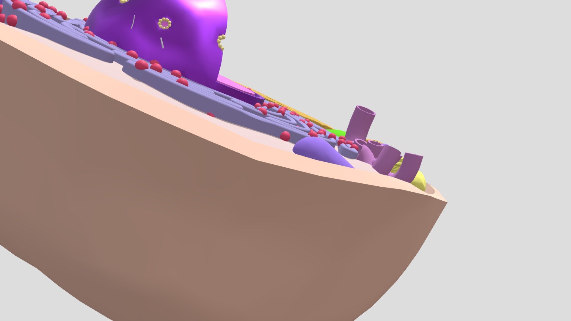 celula - 3D model by pablo.vizhnay [83cf2a5] - Sketchfab