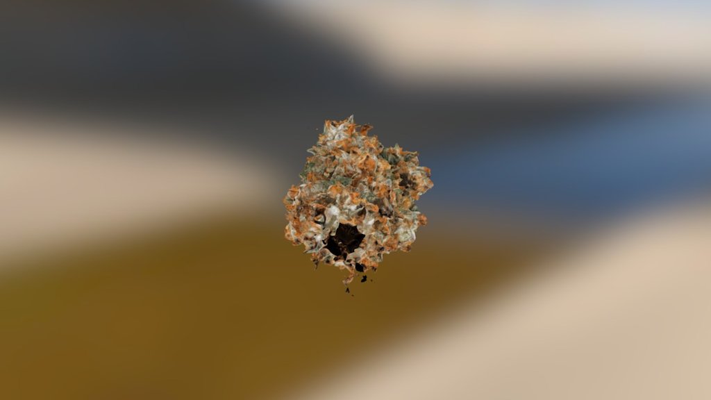 Chroncierge Dry - 3D model by nugshots [83d321b] - Sketchfab