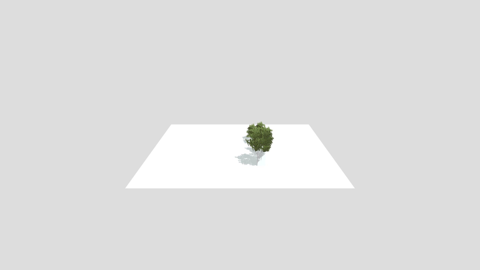 Daun - 3D model by AlfiyanRahmaDanu [83d8a21] - Sketchfab