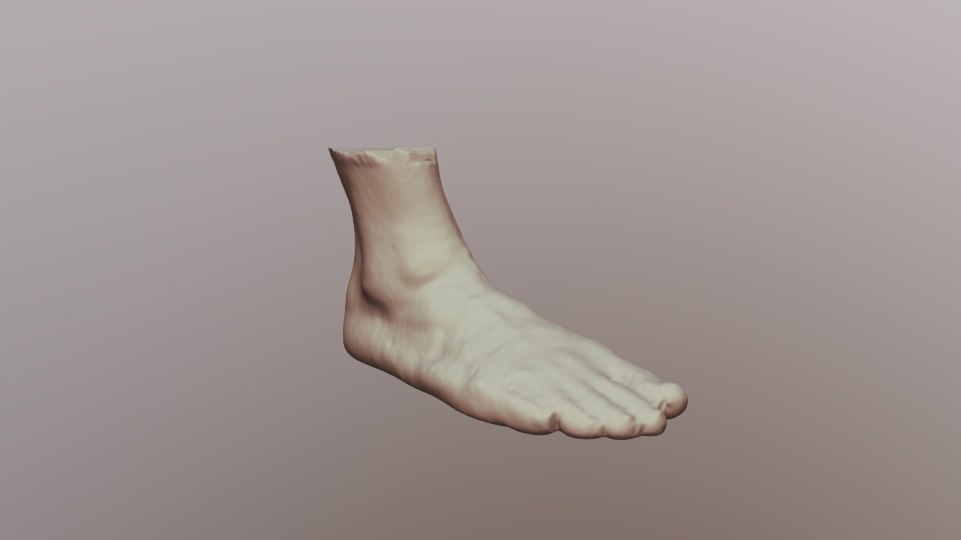 Scanned right foot - Download Free 3D model by FittingDiary [83d8b98 ...