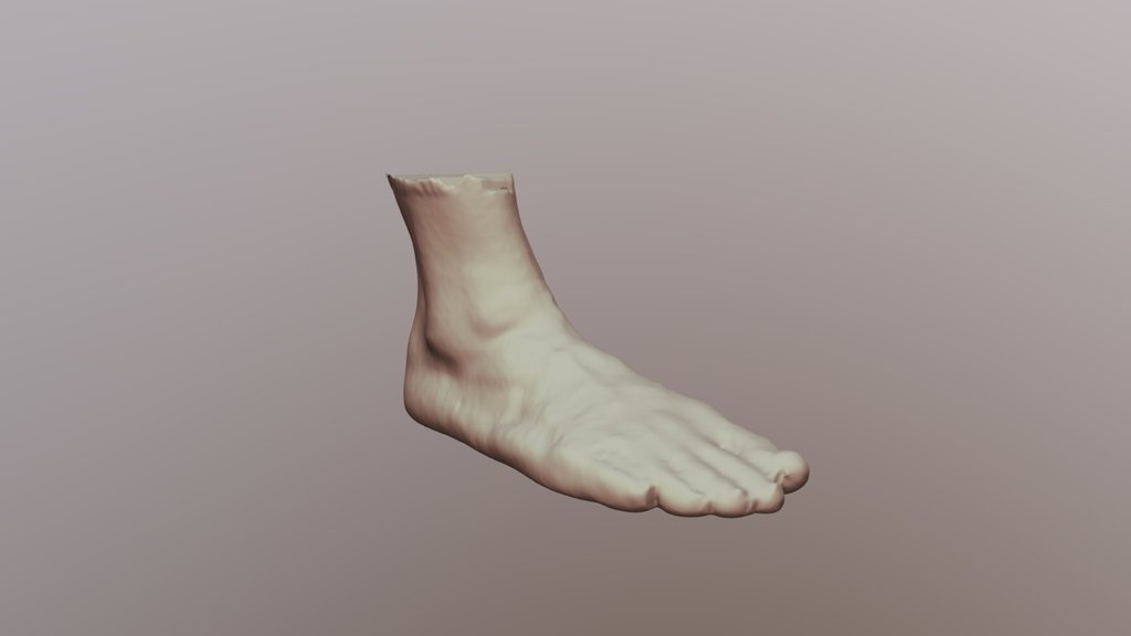 Leg and Feet scans - A 3D model collection by 3D Measure Up ...