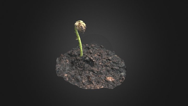 Sprout 3D models - Sketchfab