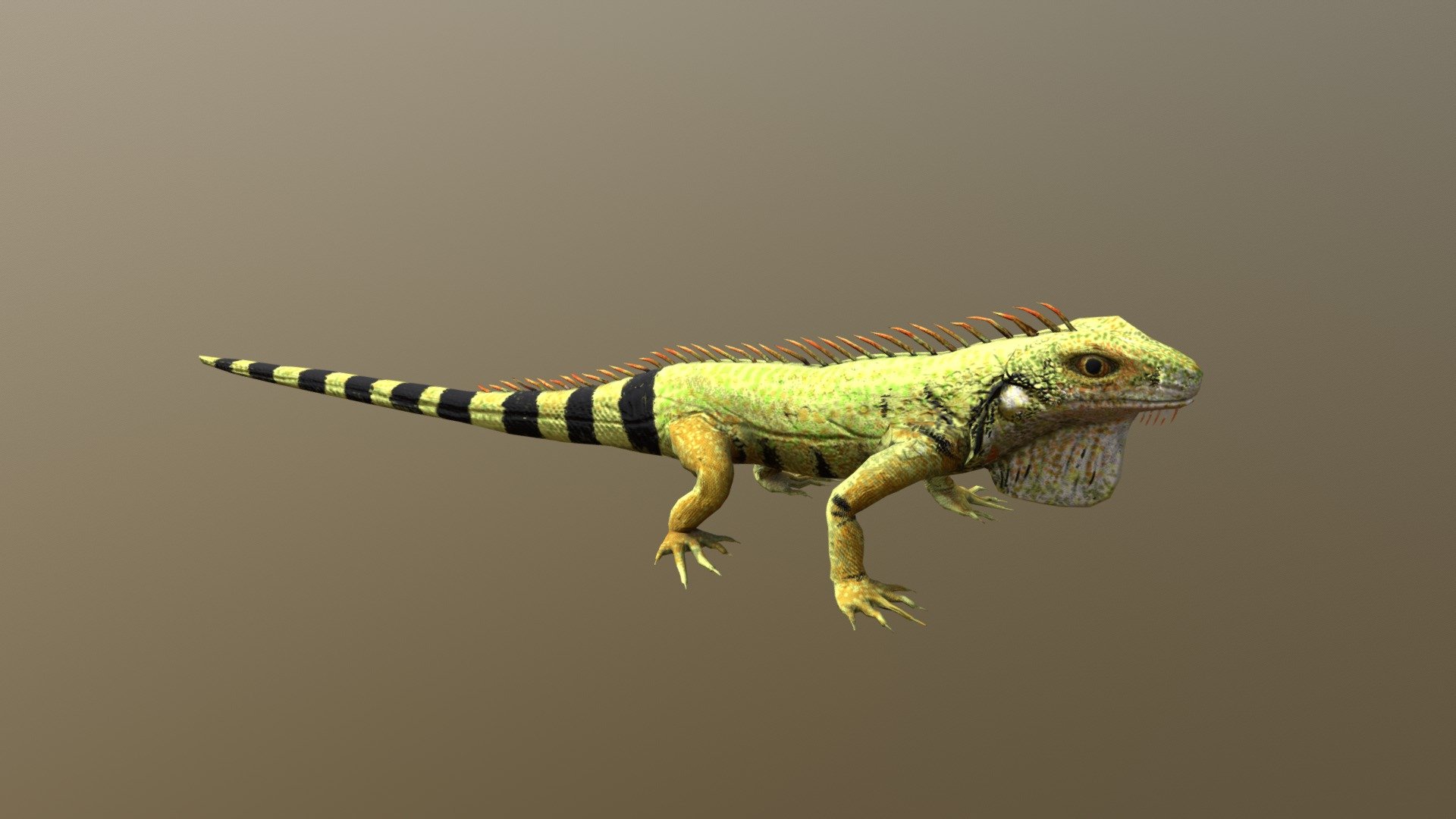 Iguana - Buy Royalty Free 3D model by 3dlowpoly [83ddf15] - Sketchfab Store