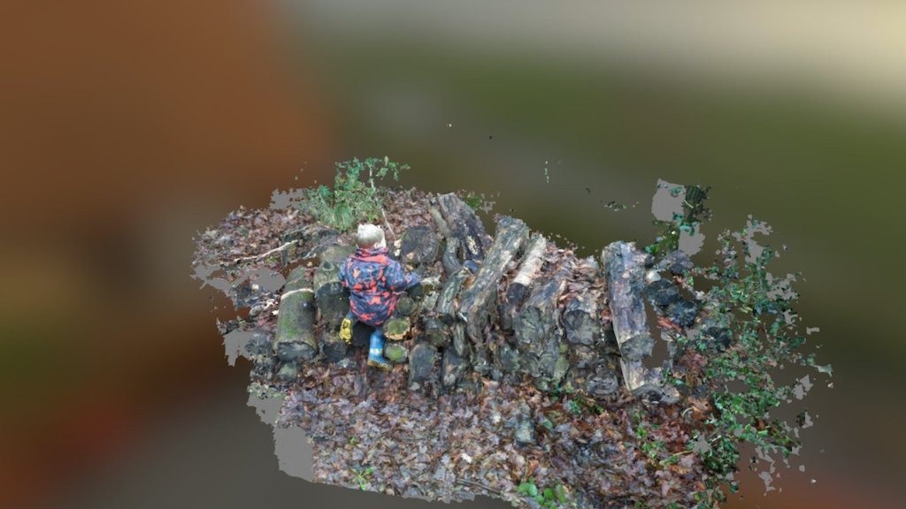 Logpile Scramble - 3D model by Evryway [83e504a] - Sketchfab