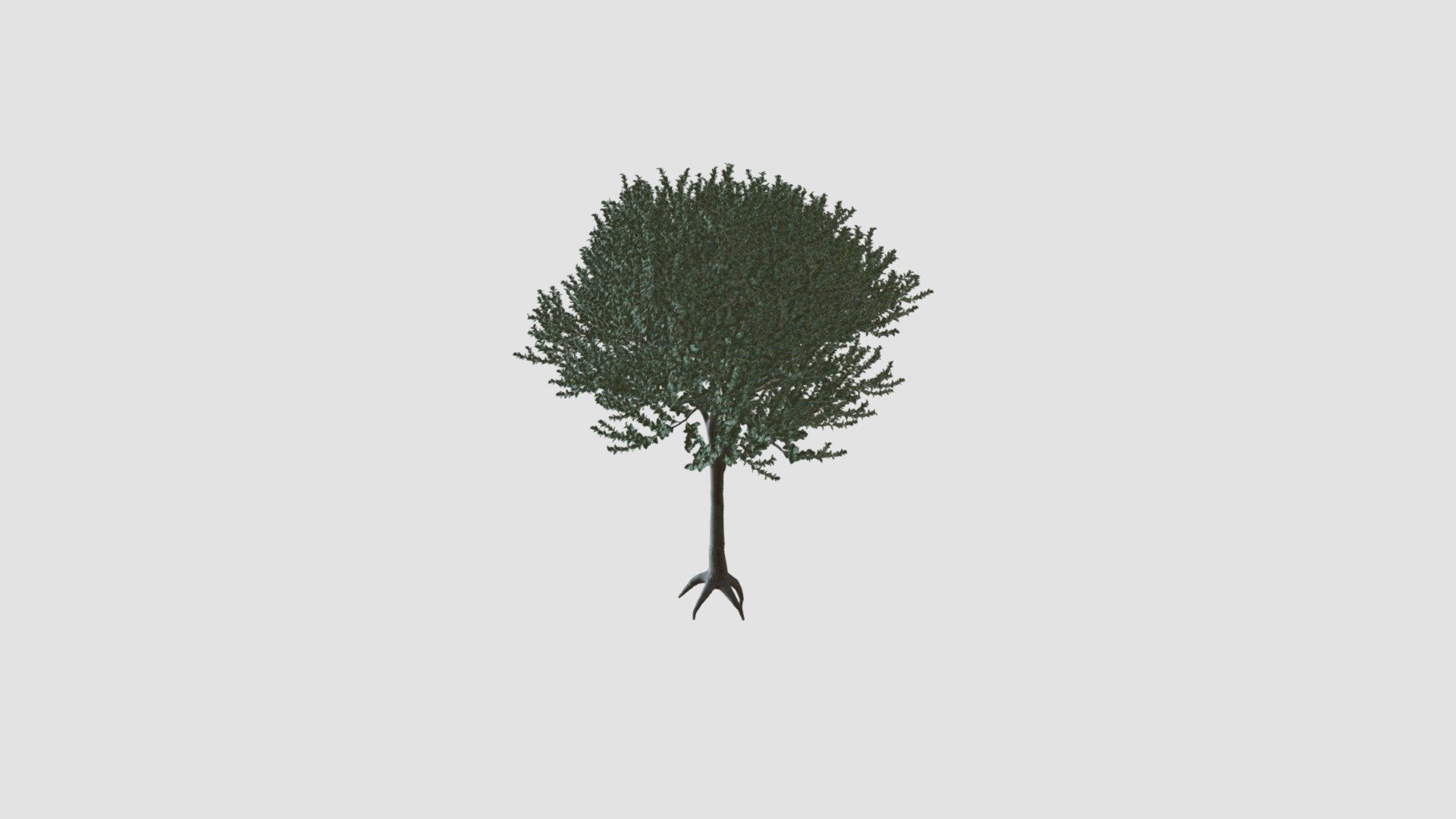 Tree - Buy Royalty Free 3D model by Evermotion [83e7b85] - Sketchfab Store
