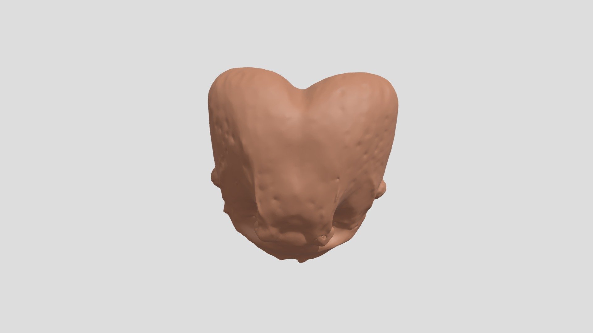 Minim Atta vollenweideri Head Capsule - Download Free 3D model by ...